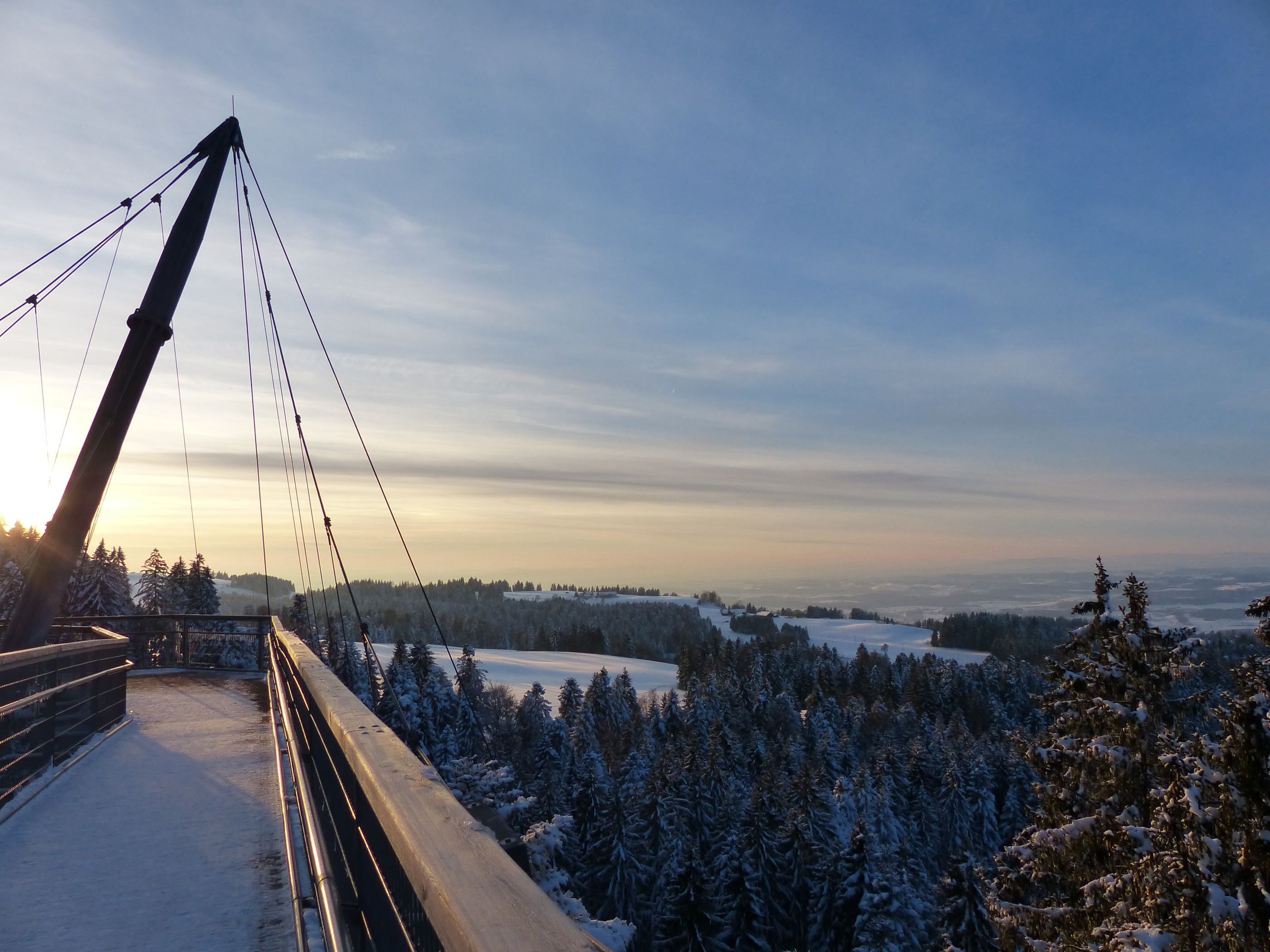 Scheidegg